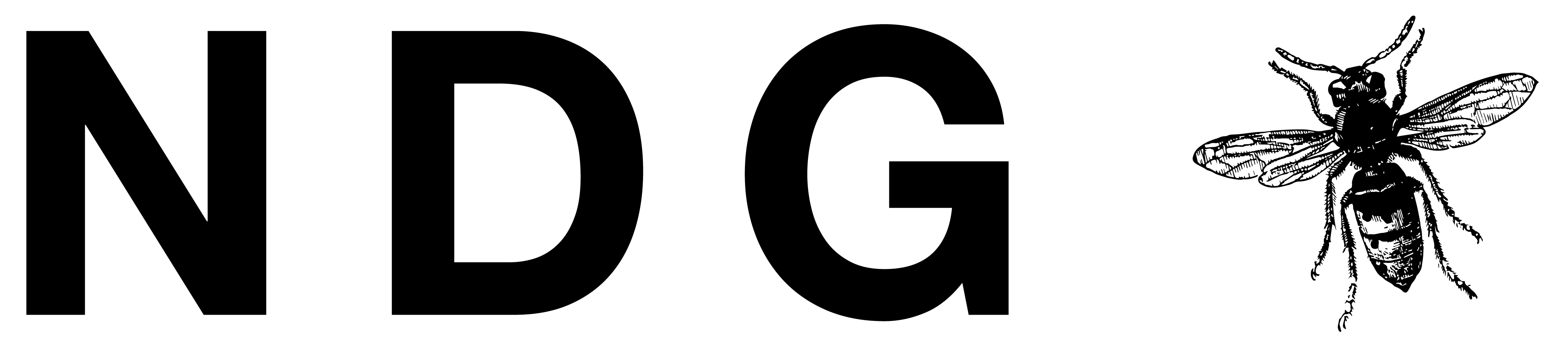 NDG PARIS – NDG PARIS USA